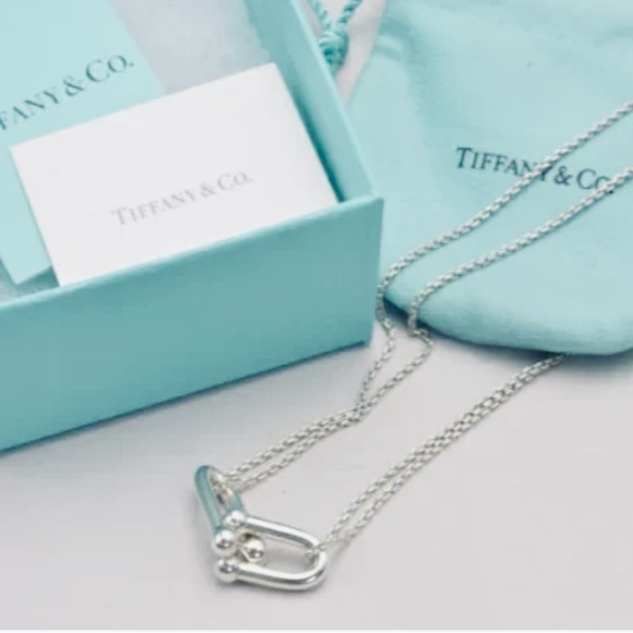 Tiffany & Co. | Accessories | Tiffany Co Hardwear Large Link Pendant ...